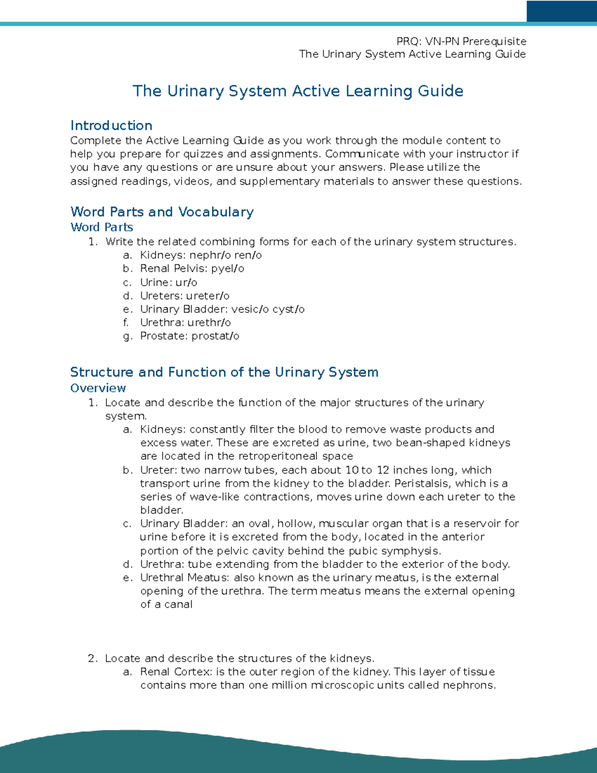 Urinary System Active Learning Guide - Communicate with your instructor ...