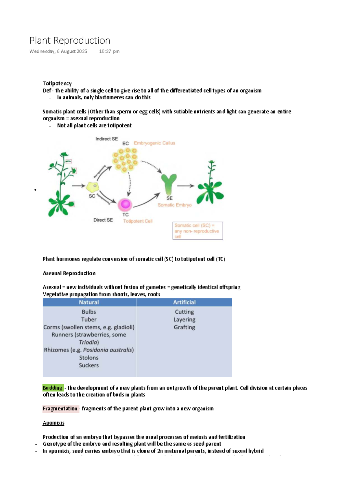 Plant Reproduction: Totipotency and Asexual Methods - Studocu