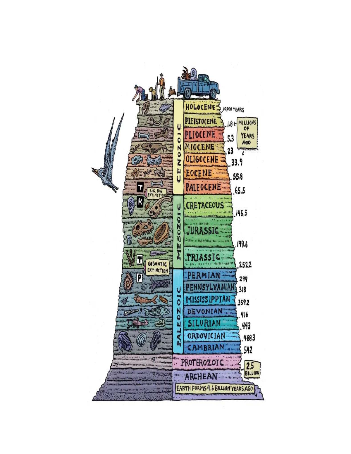 Geological Time Line: Key Eras and Extinctions Overview - Studocu