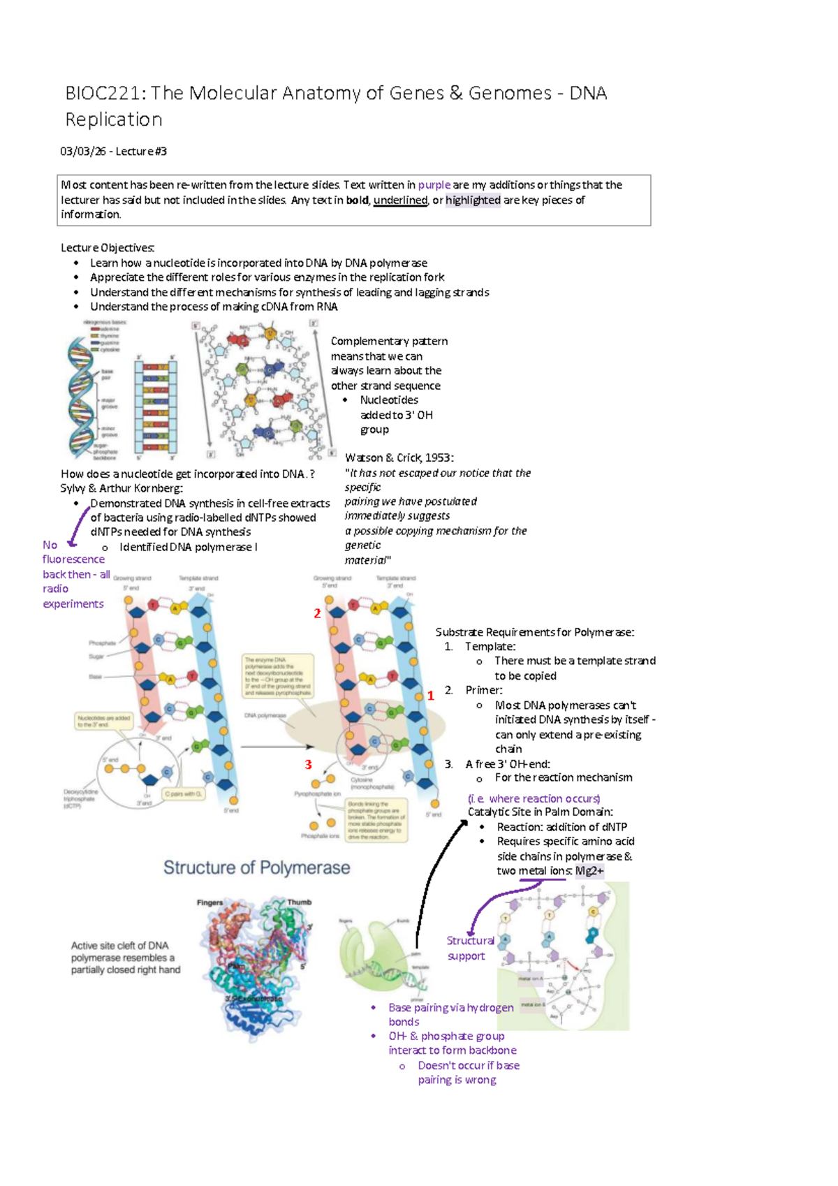 BIOC221 Lecture 3: DNA Replication Overview - Studocu