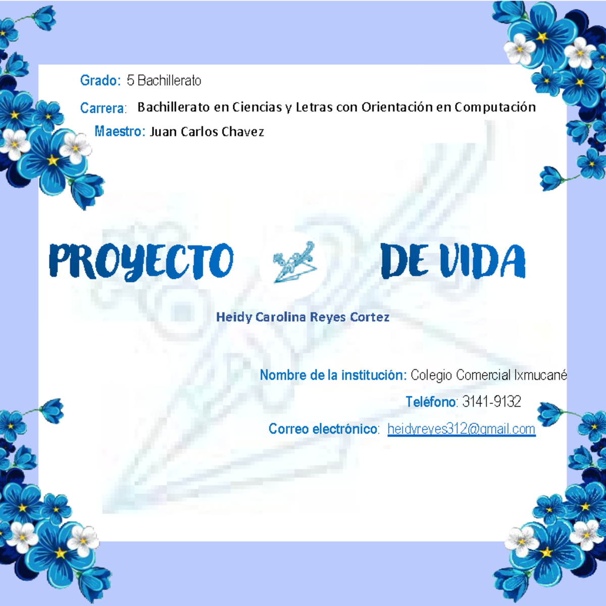 Proyecto de Vida: 5to Bachillerato en Ciencias y Letras con Computación ...
