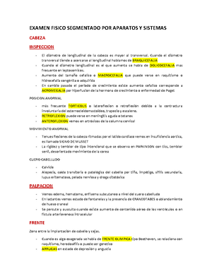 Tipos DE Abdomen - TIPOS DE ABDOMEN CARACTERISTICAS CAUSAS GLOBOSO ...