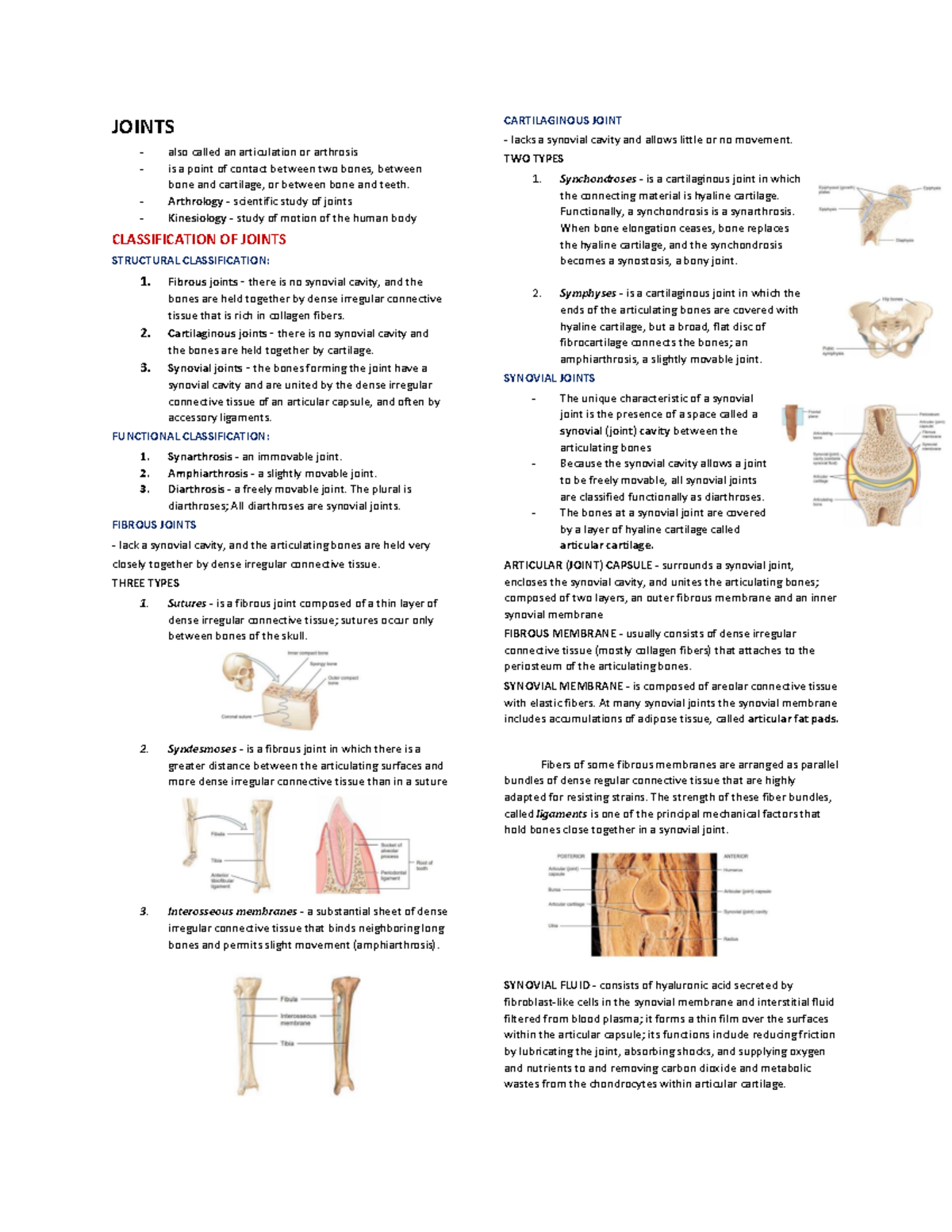 Anatomy and Physiology: Joints - JOINTS also called an articulation or ...