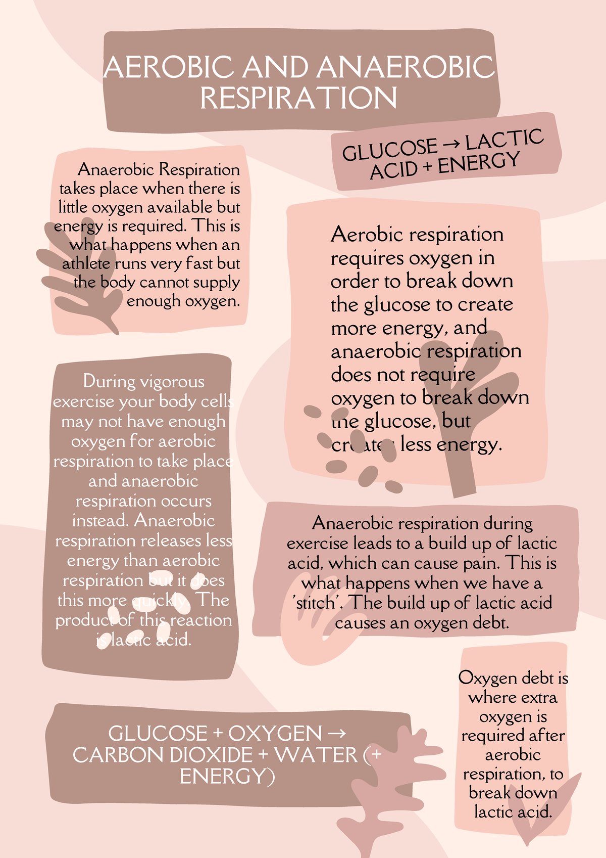 Aerobic and Anaerobic Respiration: Key Concepts and Differences - Studocu