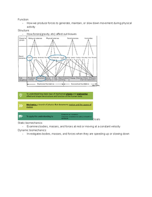 Force plate Vald - User Guide Understanding force plate analysis ...