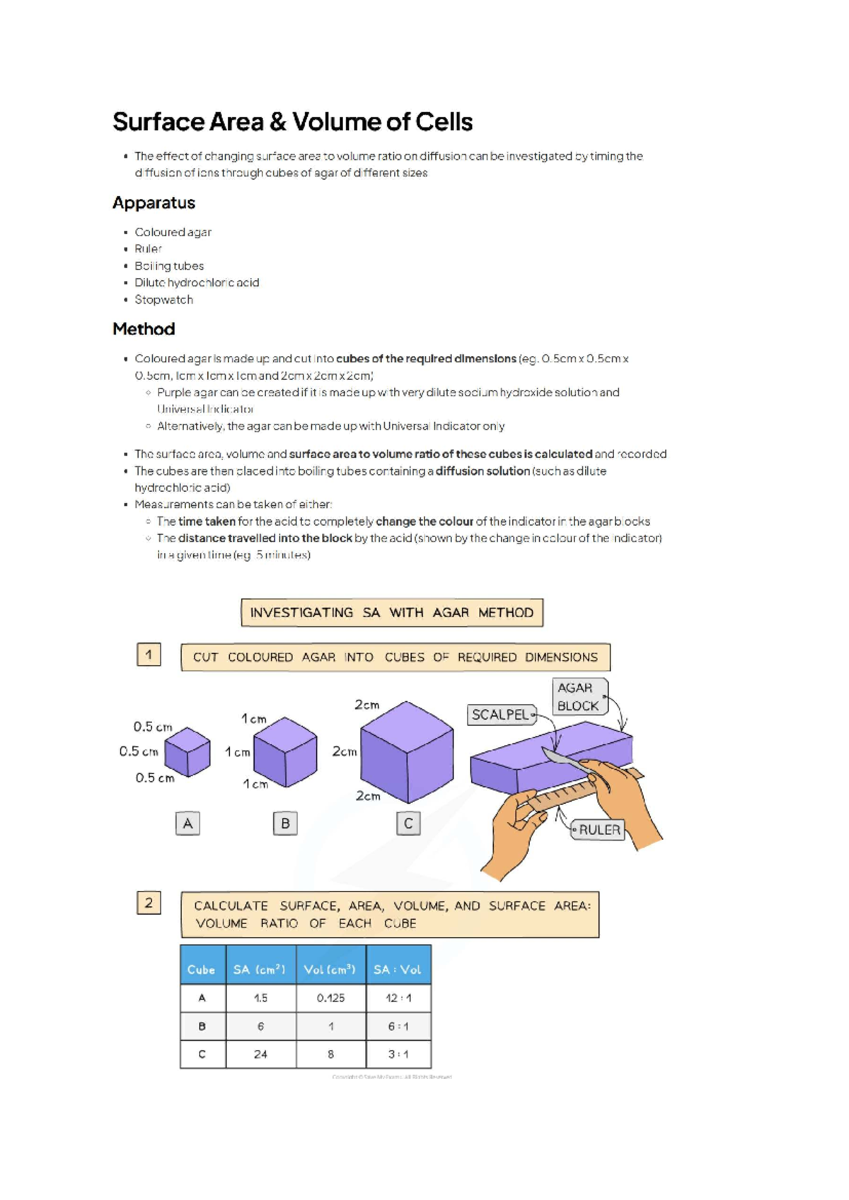 SA: Volume Ratio and Diffusion in Agar Cubes Experiment - Studocu