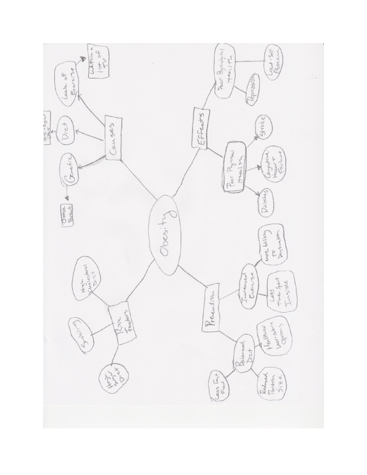 Lesson 6: Exploring the Interconnections of Obesity - Concept Map - Studocu