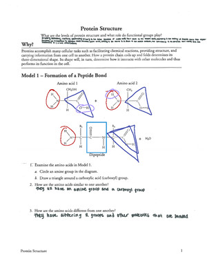 BIO 181 Lab Act I Mission Memo - Lab Instructions: Scientific Reasoning ...