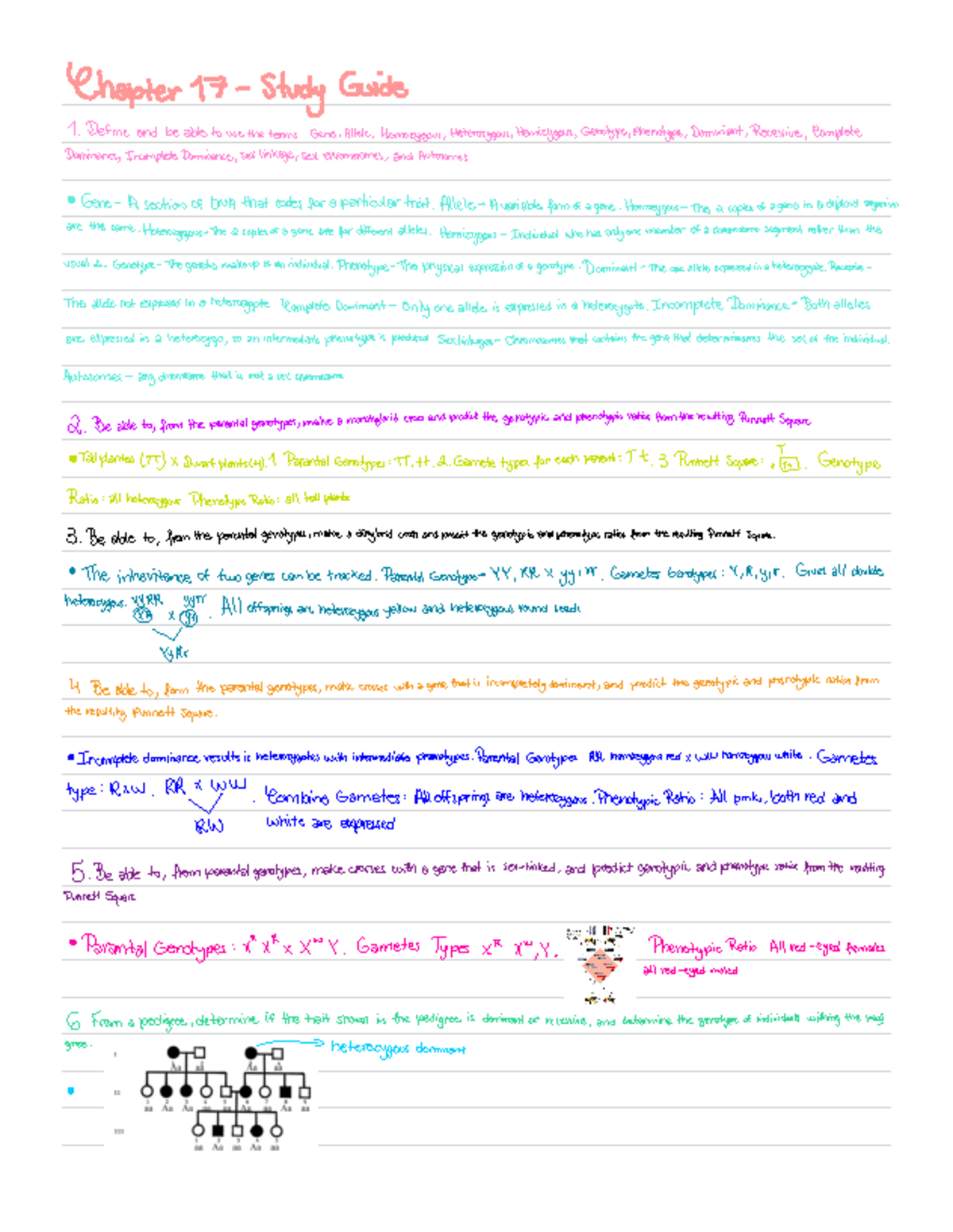 Biology 224 - Chapter 17-Study Guide 1. Define and be able to use the terms:Gene, Allele, - Studocu