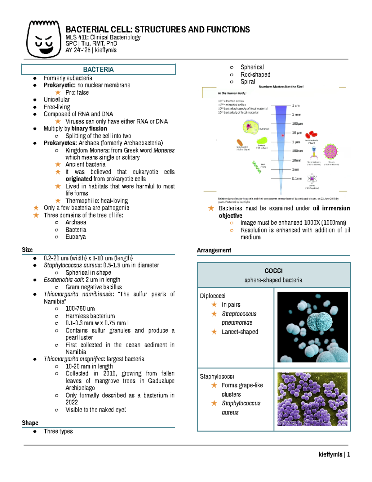Bacterial Cell Structures and Functions - BACTERIAL CELL: STRUCTURES AND FUNCTIONS MLS 411 ...