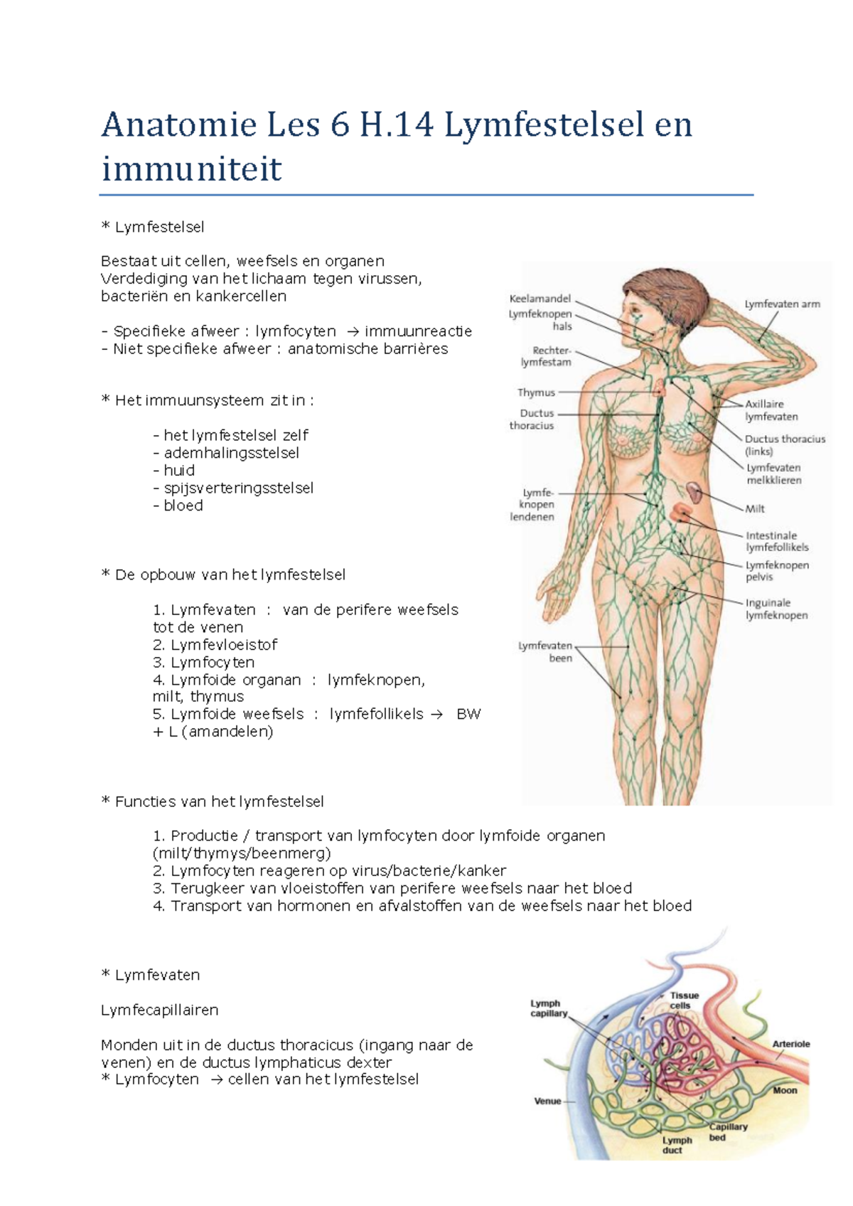 Anatomie Les 6 t/m 12: Lymfestelsel en Voortplantingsstelsel - Studeersnel