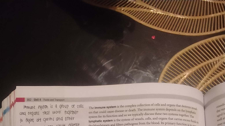 Lymphatic and Immune System Overview - Unit 4 Study Notes (862) - Studocu