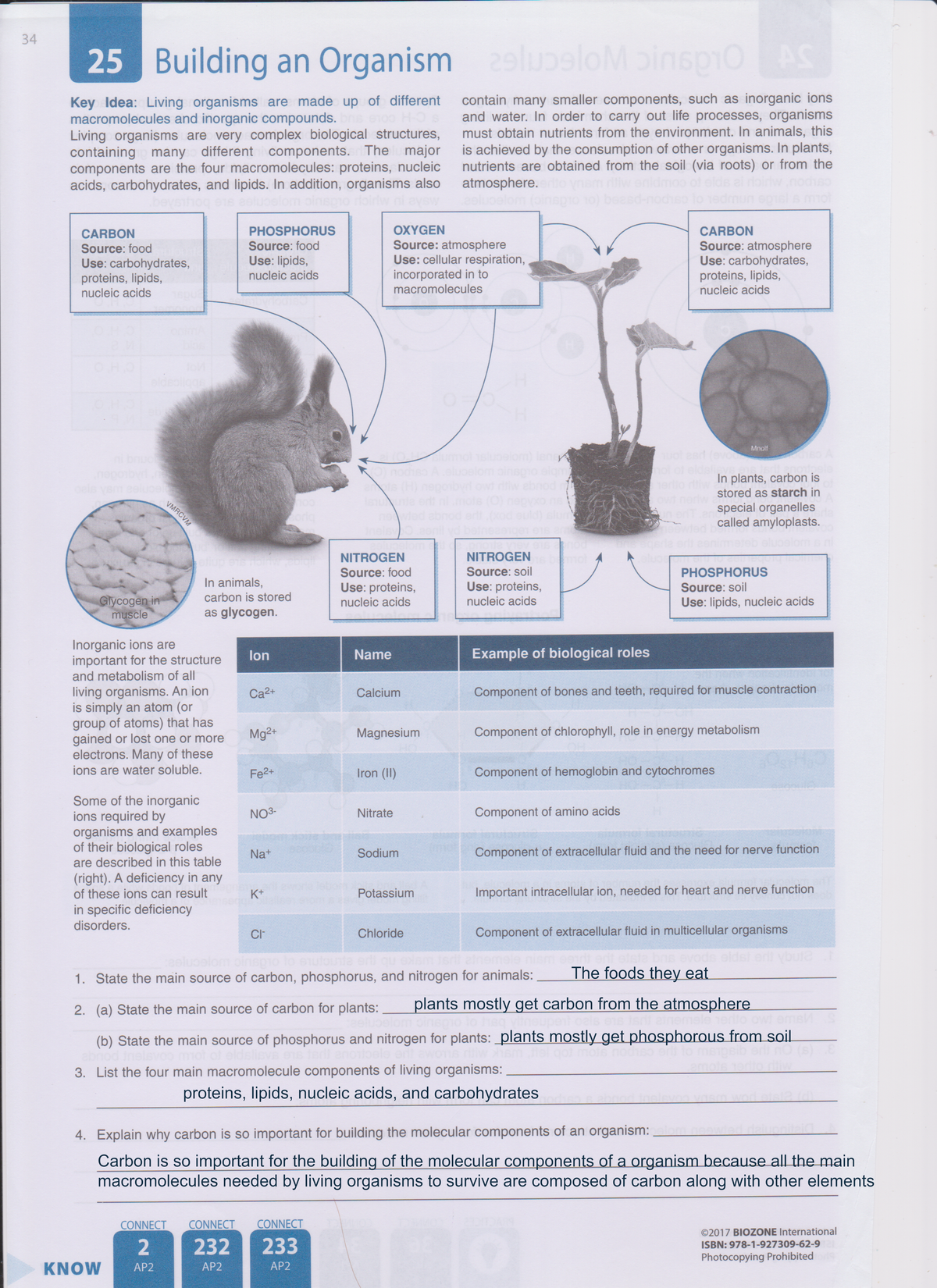 Macromolecules Overview Worksheet for Study and Review - Studocu