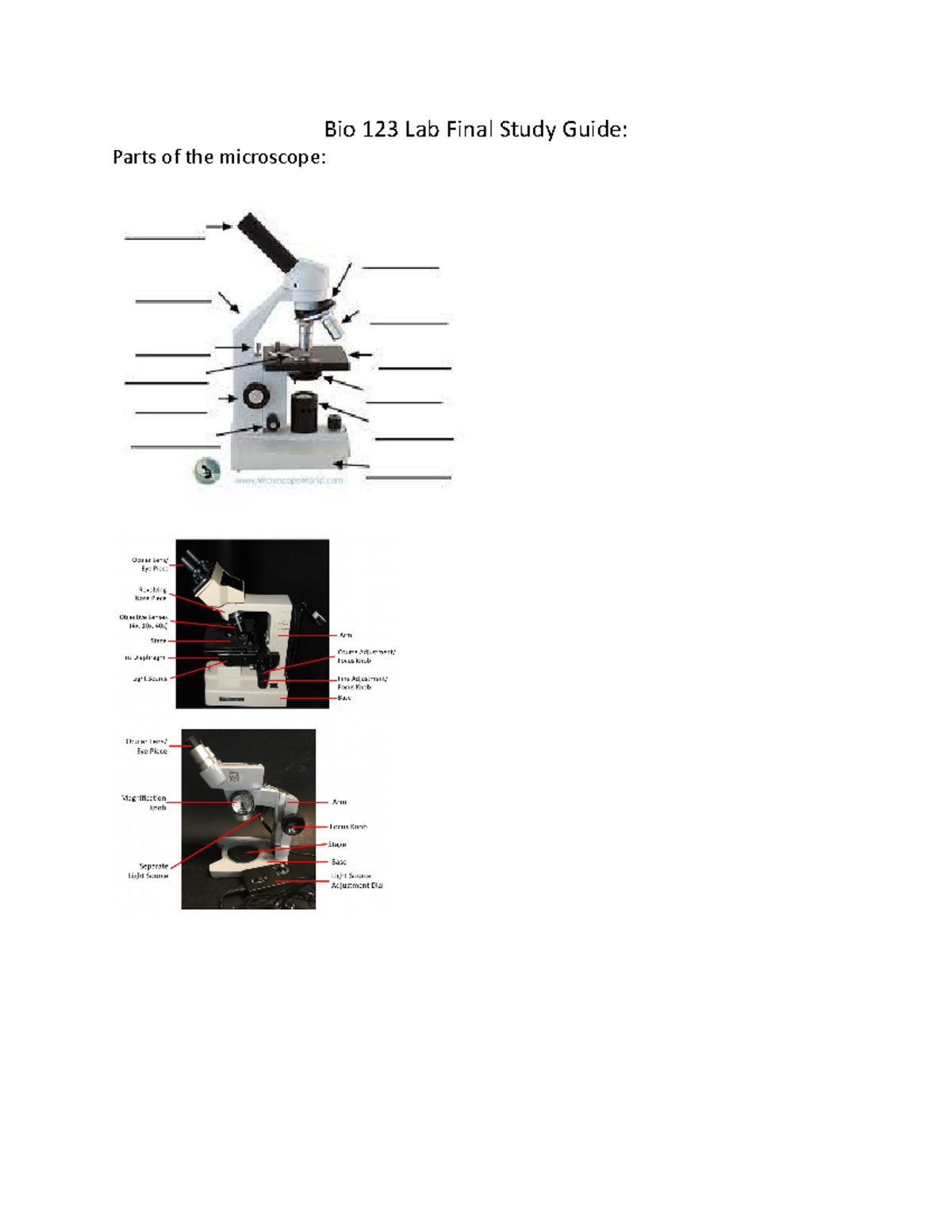 Bio 123 Lab Final Study Guide - Bio 123 Lab Final Study Guide: Parts of ...