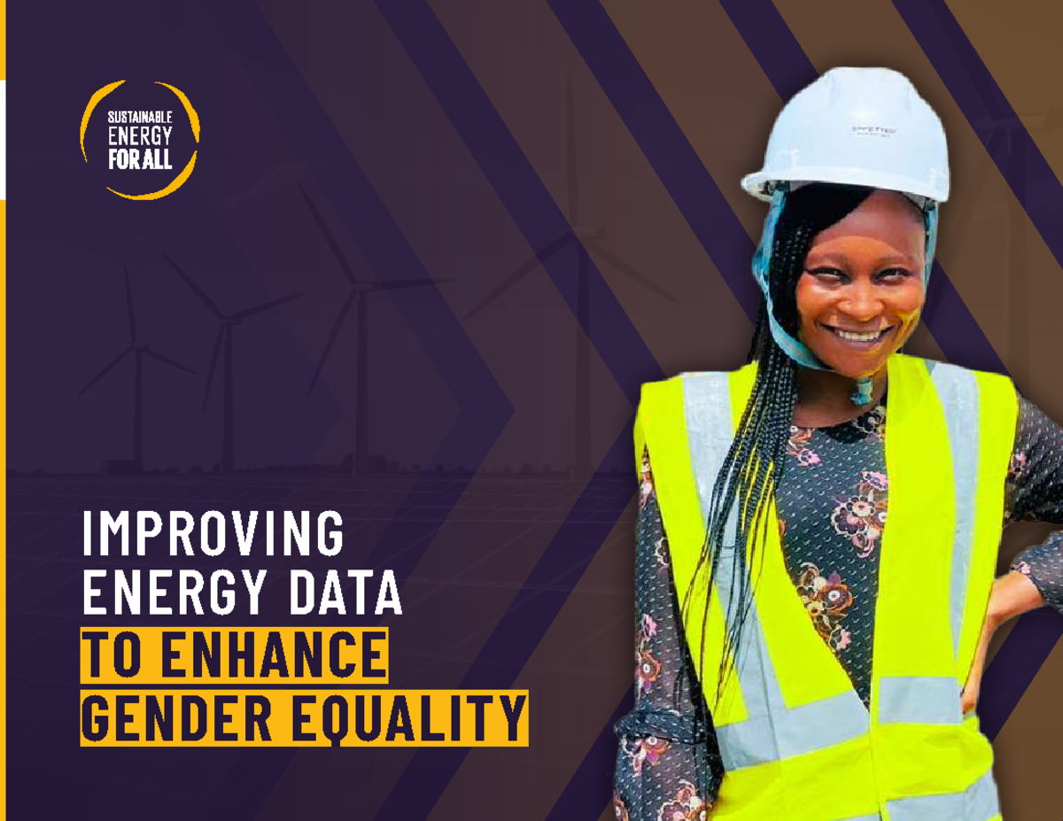 Improving Energy Data for Gender Equality: Insights & Recommendations ...