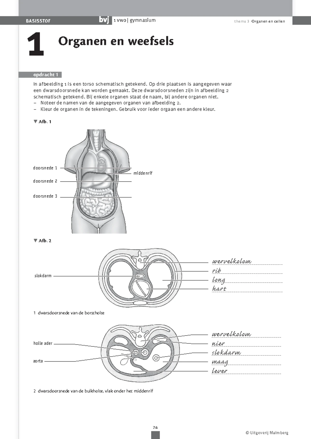 Nakijkboek Biologie HOOFDSTUK 1-3: Skelet en Botten - Studeersnel