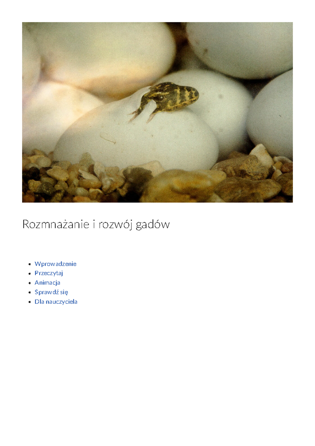 Rozmnażanie i rozwój gadów - Kluczowe informacje i zagadnienia - Studocu