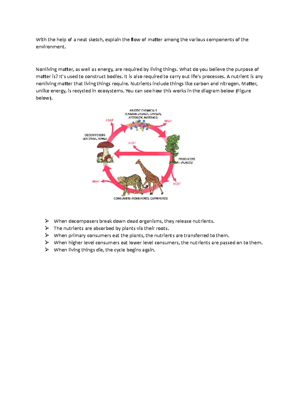 Neat sketch document - With the help of a neat sketch, explain the flow of matter among the ...