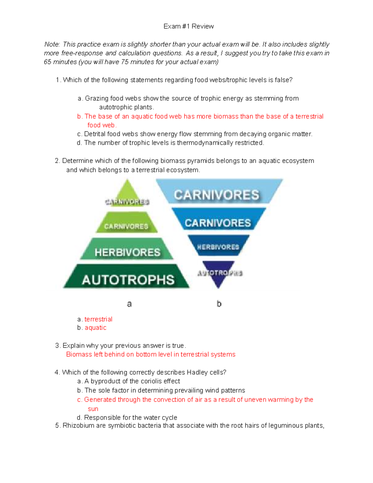 KEY Exam 1 Review Notes for Ecology and Biodiversity - Studocu