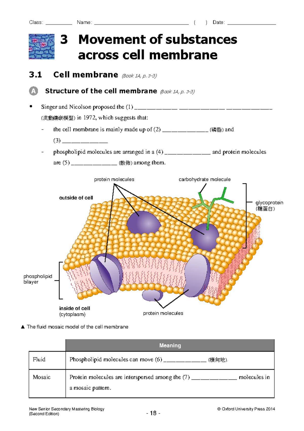 Chapter 3 Movement Of Substances Across Plasma Membrane Essay On