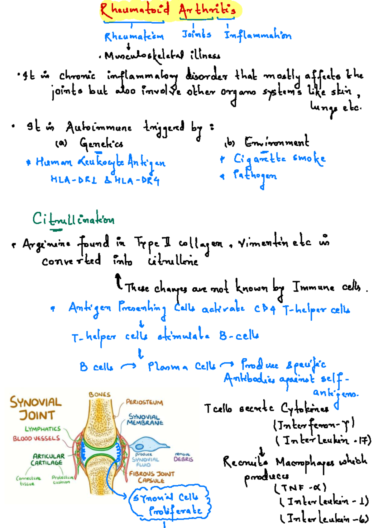 Rheumatoid Arthritis Overview: Key Concepts and Insights - Studocu