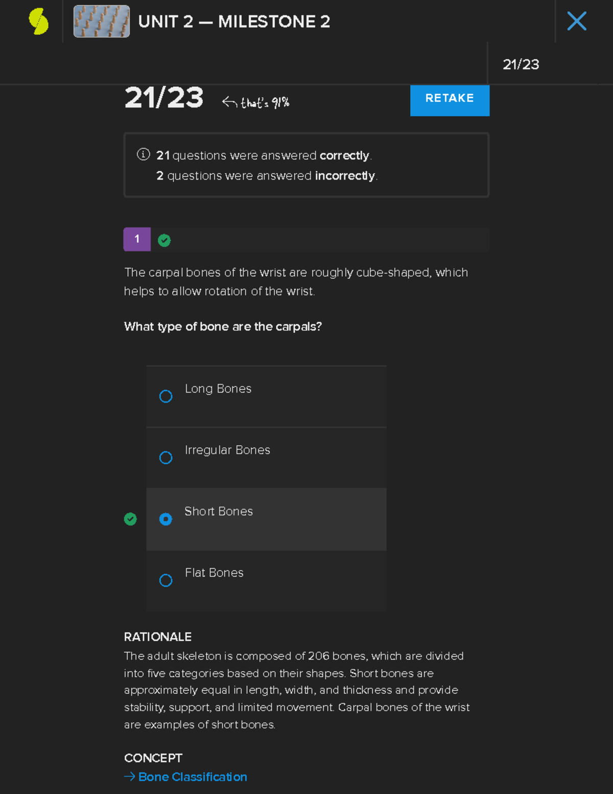 Anatomy AP Milestone 2: Bone Classification and Skeletal System ...