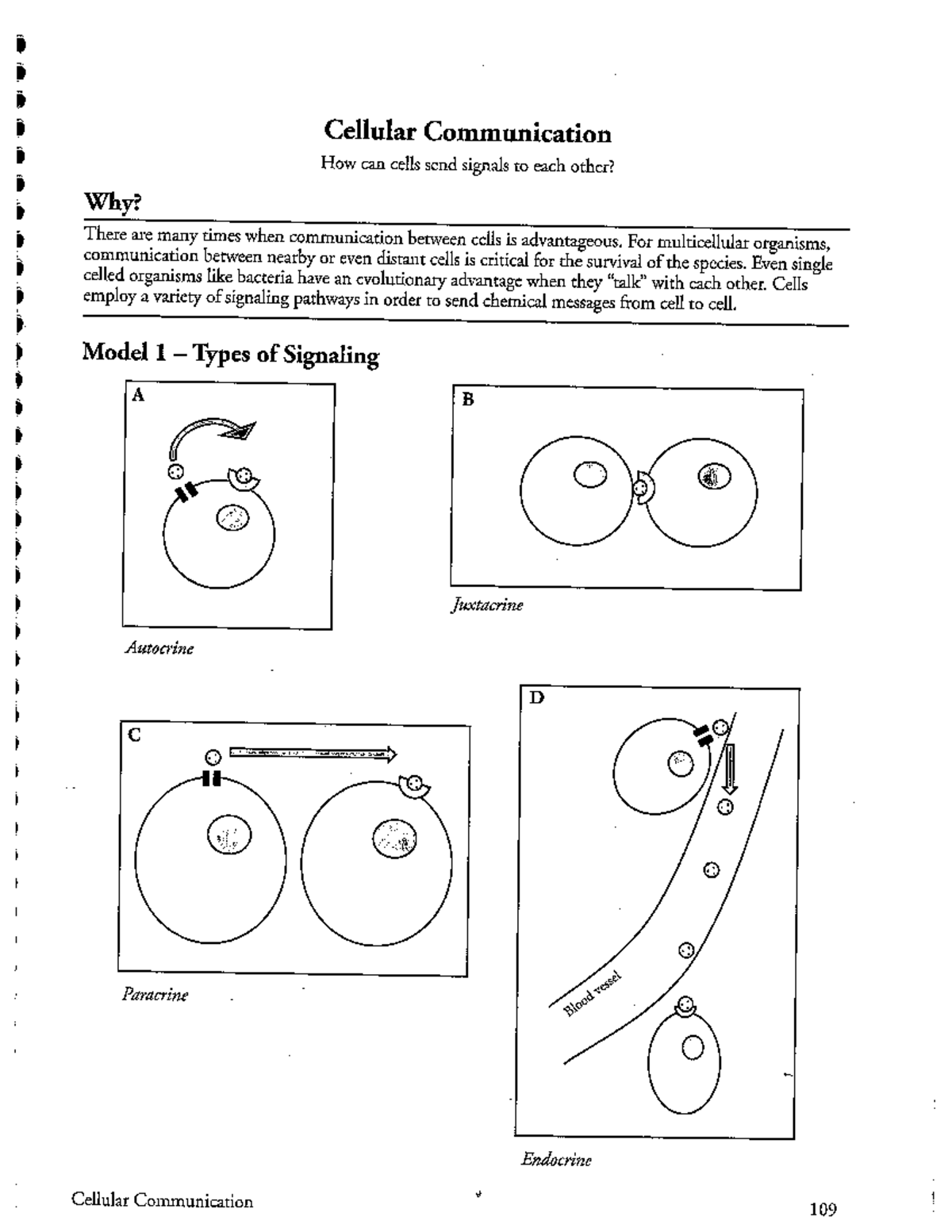Cellular Communication: Understanding Signaling Mechanisms and Types ...