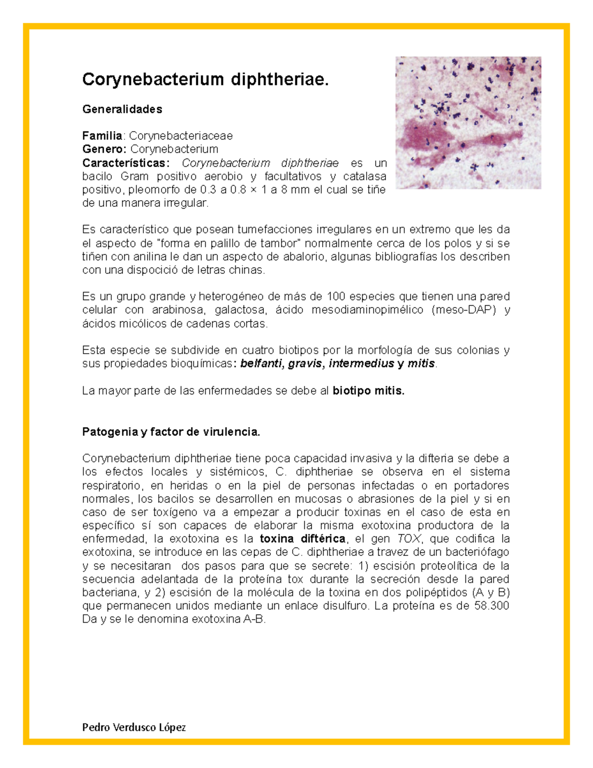 Corynebacterium diphtheriae - Generalidades Familia: Corynebacteriaceae ...