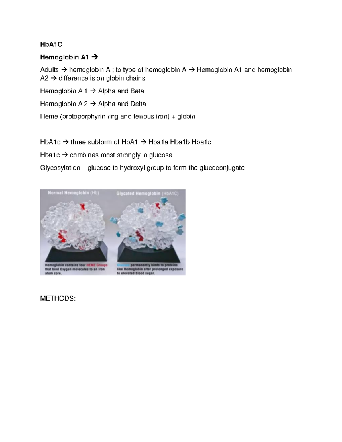 HbA1C - Lecture Notes on Hemoglobin A1c and Its Methods - Studocu