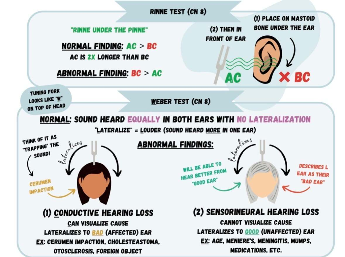 Rinne Test & Weber Test Overview (CN 8) - Hearing Loss Assessment - Studocu