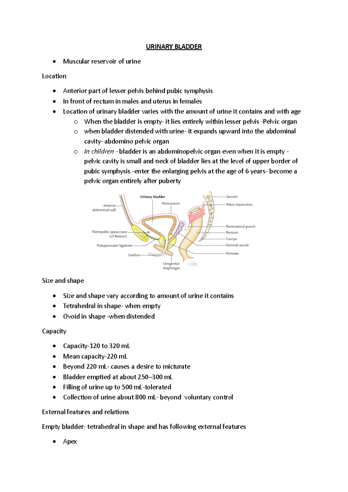 Urinary bladder anatomy and function: A comprehensive overview - Studocu