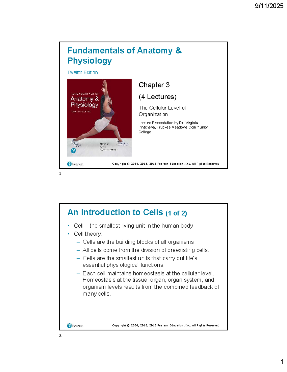 Fundamentals of Anatomy & Physiology: Chapter 3 Lecture - Studocu