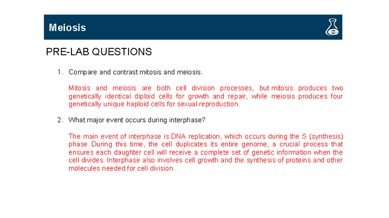 Meiosis Lab: Understanding Cell Division and Chromosomal Dynamics - Studocu