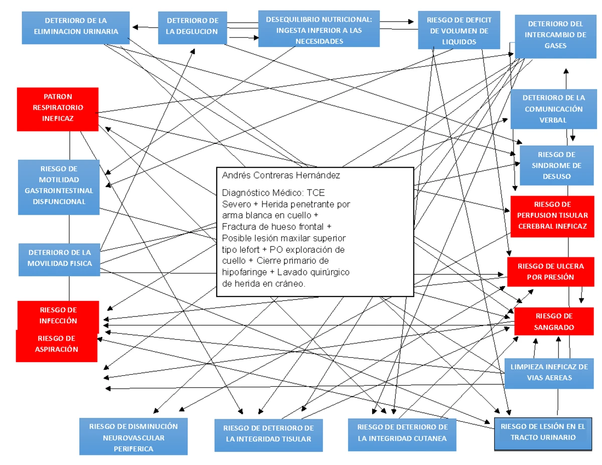 Plan de cuidados perfusion cerebral ineficaz NANDA, NOC, NIC ...