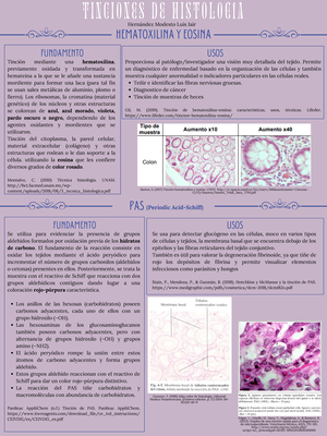 Histología del páncreas Partes exocrinas y endocrinas Kenhub - Sistema ...