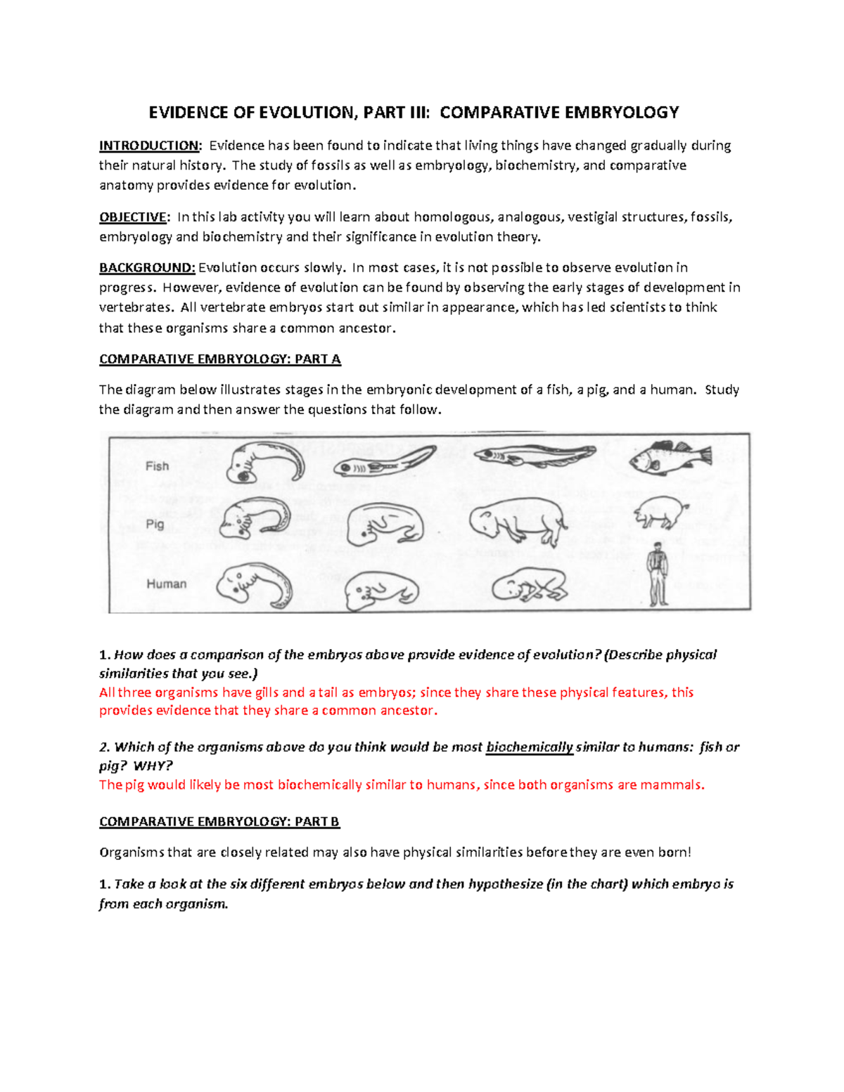 Comparative Embryology Practice Key for Evolution Studies - Studocu