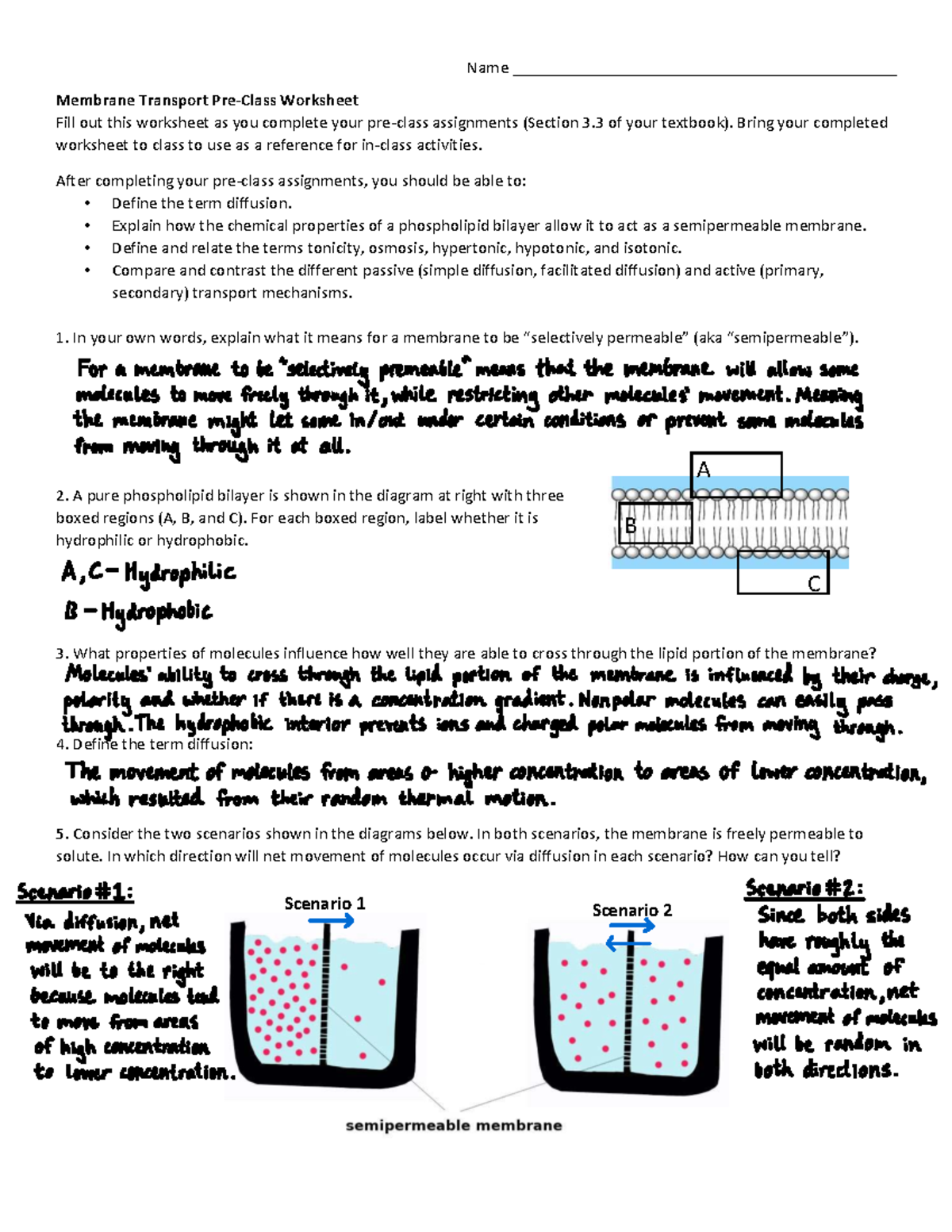 Wk 2b Membrane Transport Worksheet & Pre-Class Reading Guide - Studocu