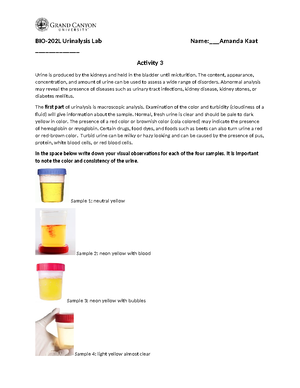 BIO 205L RS T1 - microscopy worksheet - Section: Click or tap here to ...