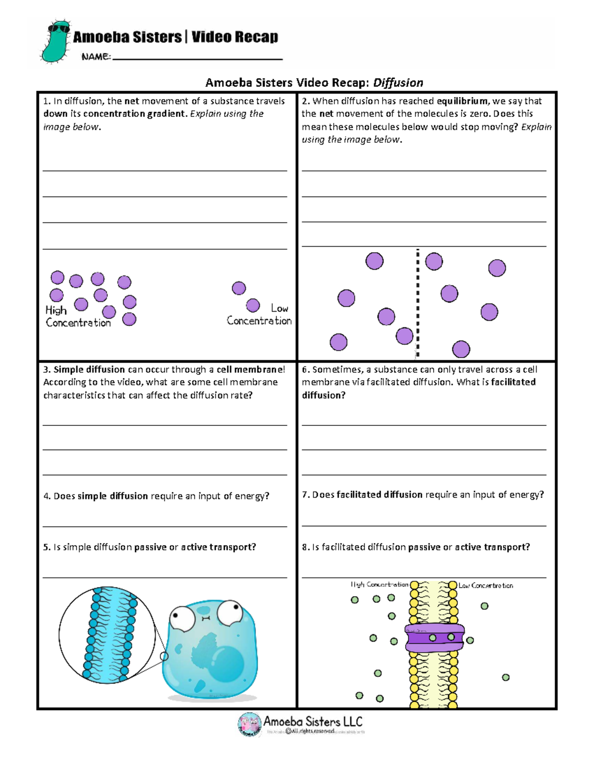 Amoeba Sisters Video Recap: Diffusion Concepts Explained - Studocu