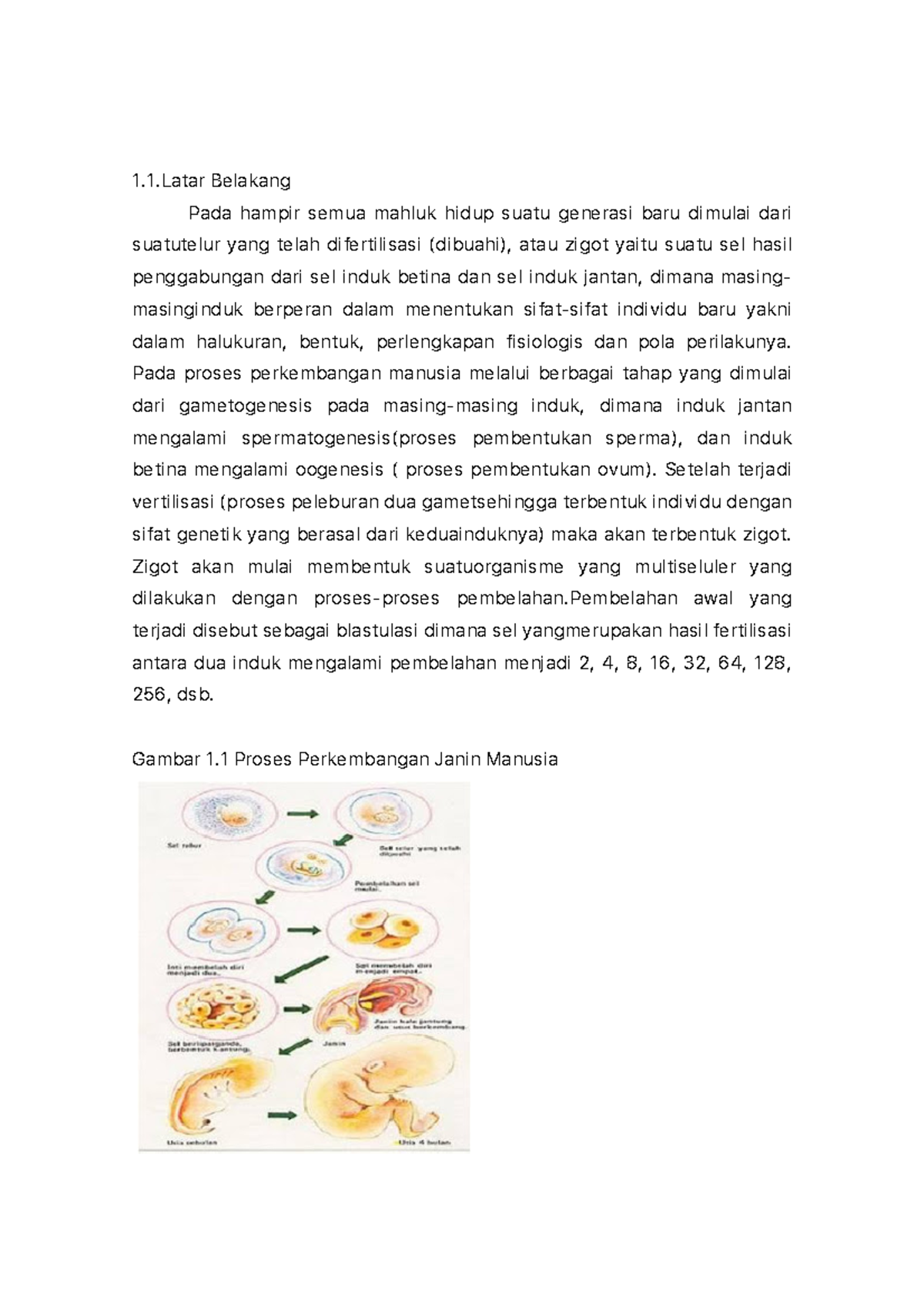 Laporan Perkembangan Embrio: Proses Embriogenesis dalam Biologi - Studocu