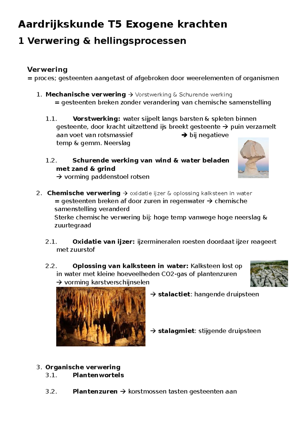 Aardrijkskunde T5 Exogene Krachten: Verwering en Hellingsprocessen ...