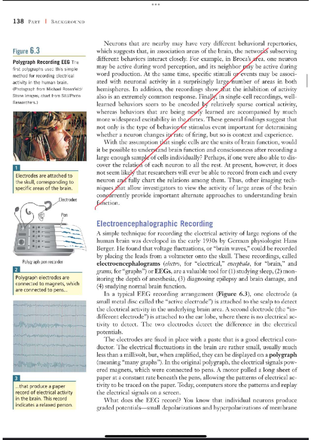 Imaging Techniques in Neuroscience: EEG and fMRI Overview (KOLB 2 ...