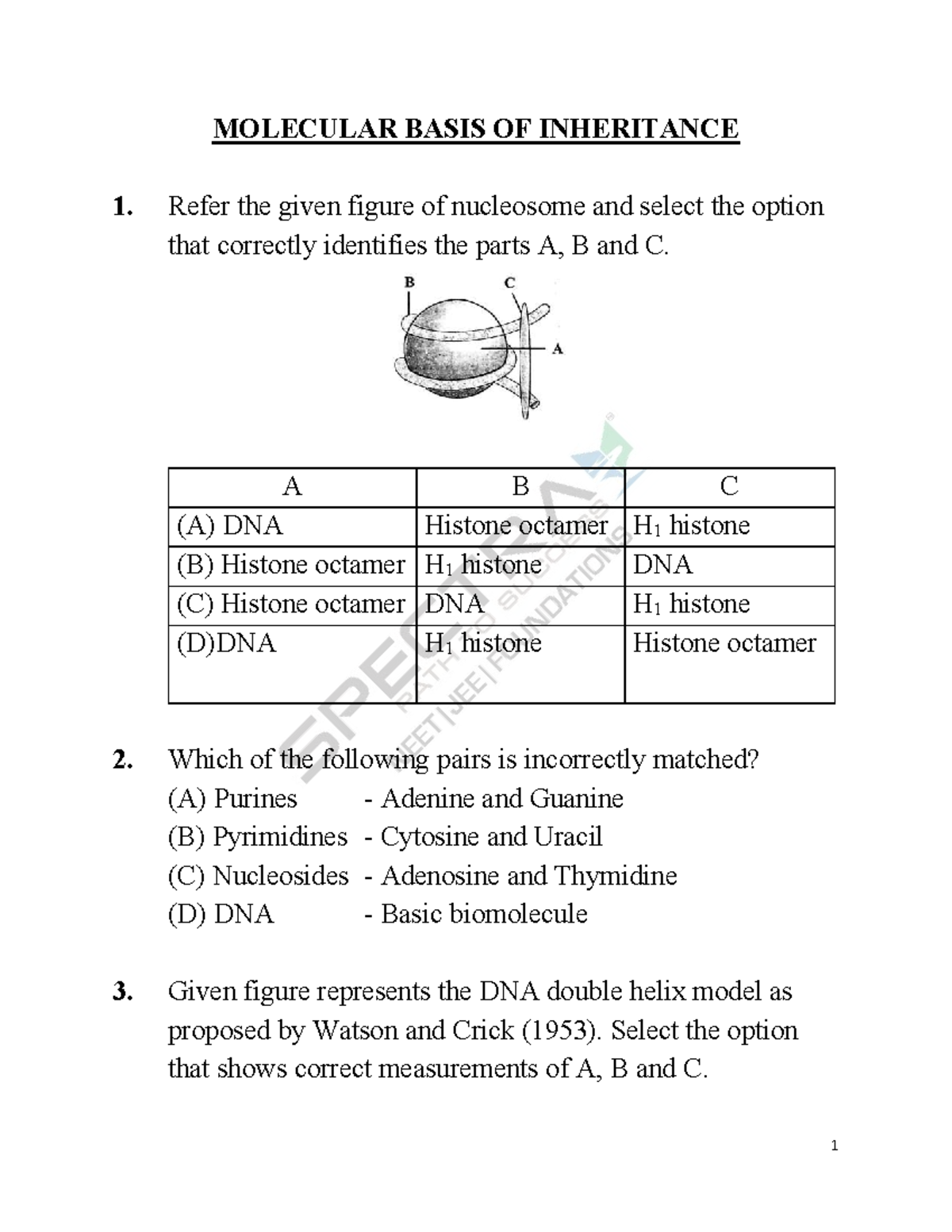 Molecular Basis of Inheritance NEET Quiz Questions and Answers - Studocu