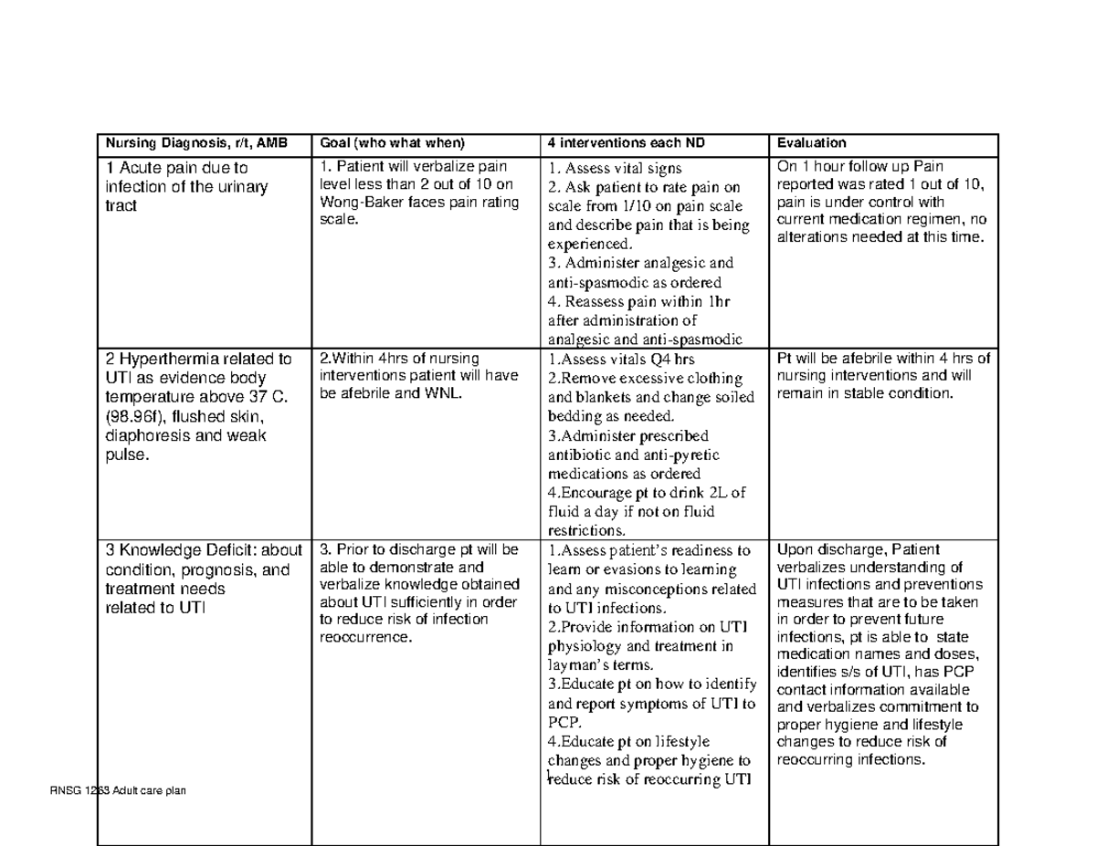 RNSG 1263 Clinical Care Plan for UTI Management and Interventions - Studocu