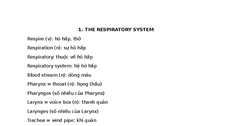 Respiratory System Vocabulary: Key Terms and Definitions - Studocu