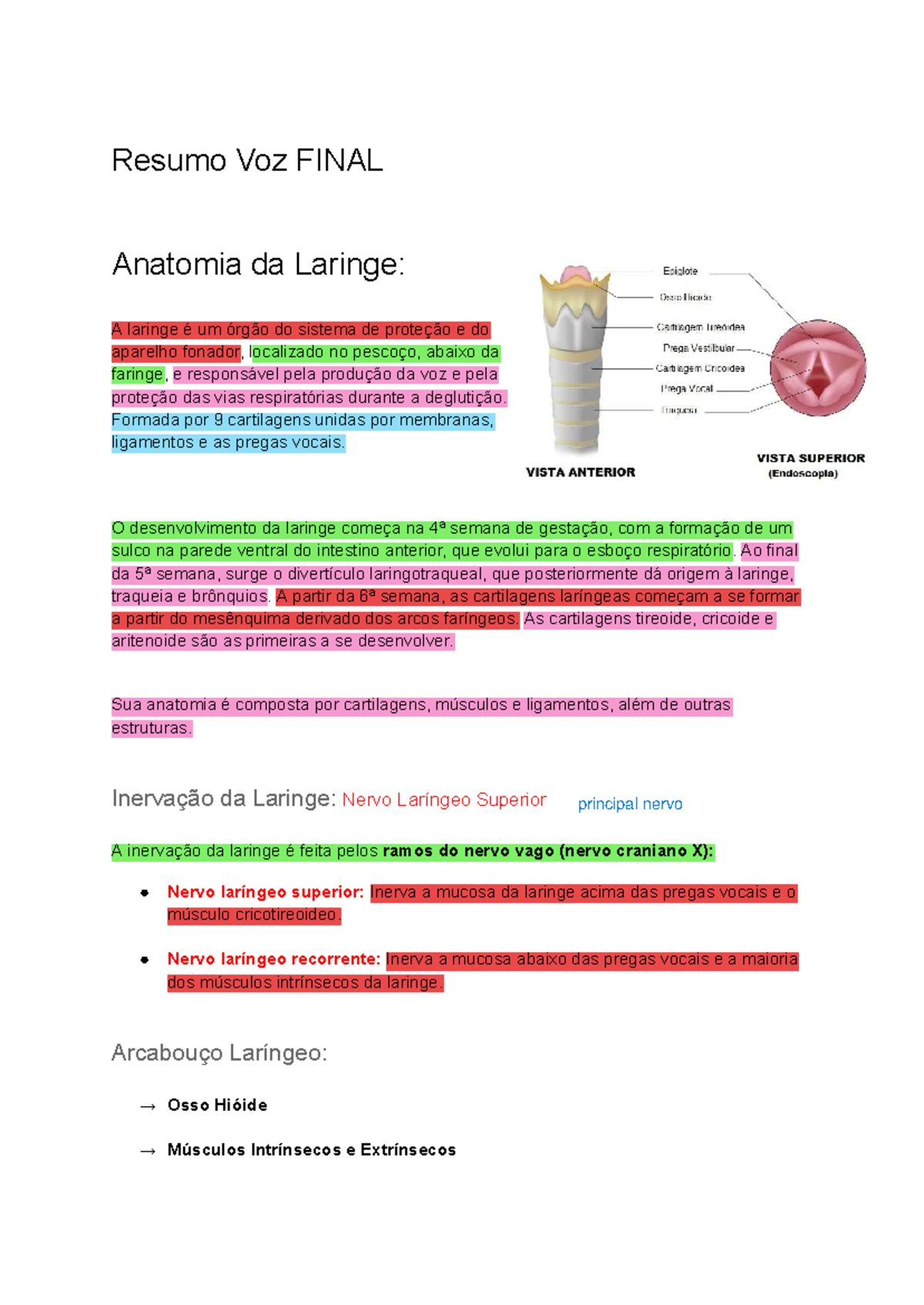 Resumo Voz FINAL - Anatomia e Funções da Laringe - Studocu