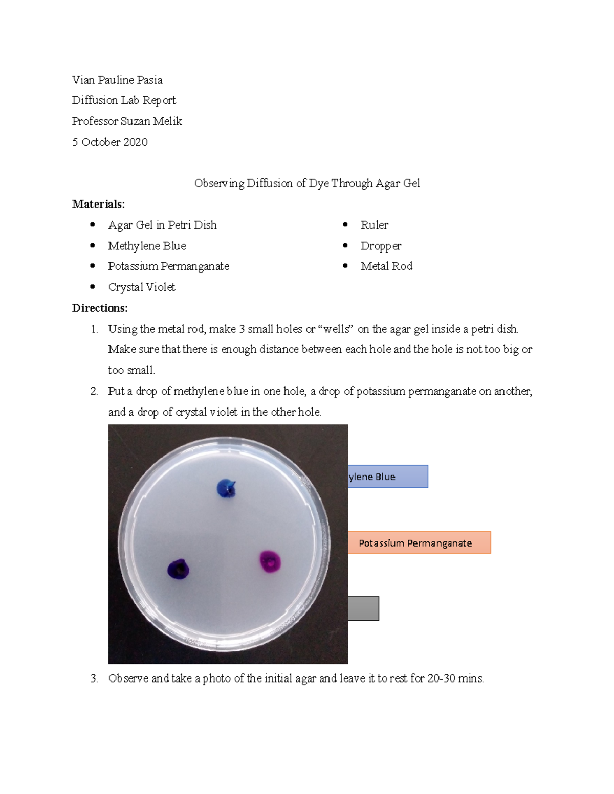Diffusion Lab Report (Biology 101): Observing Dye Behavior in Agar ...