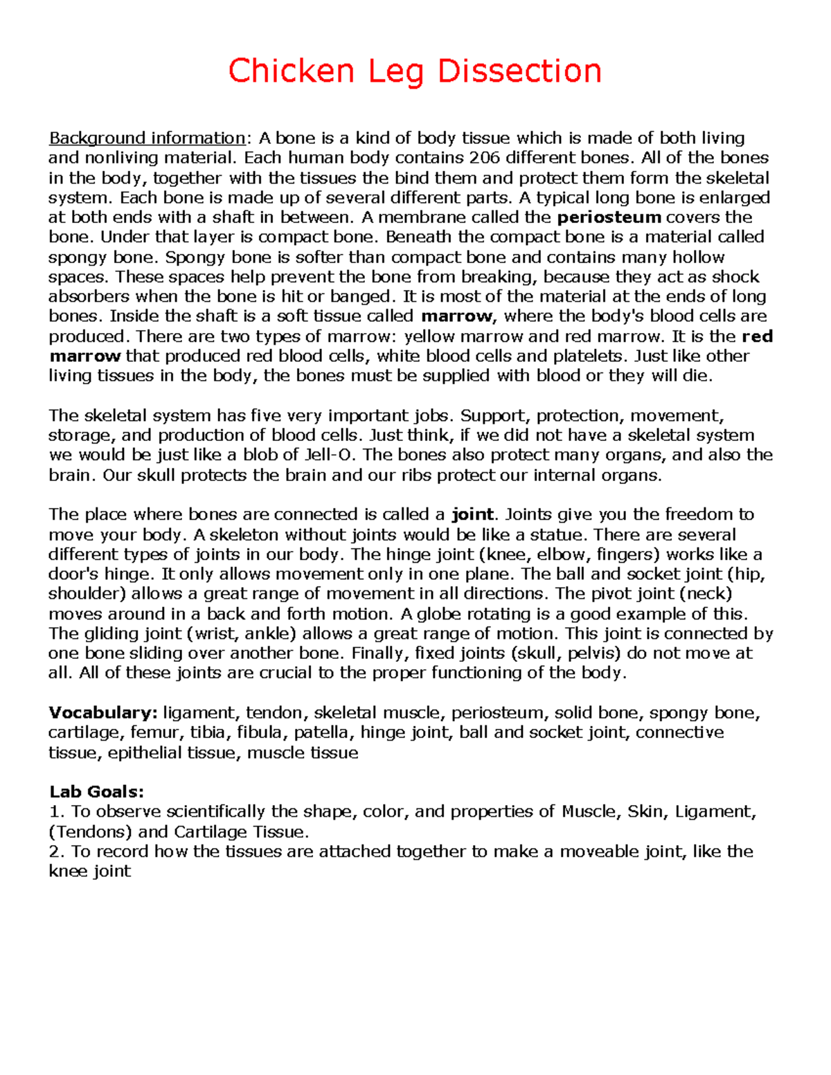 Chicken Leg Dissection Lab: Exploring Skeletal Structures and Joints ...