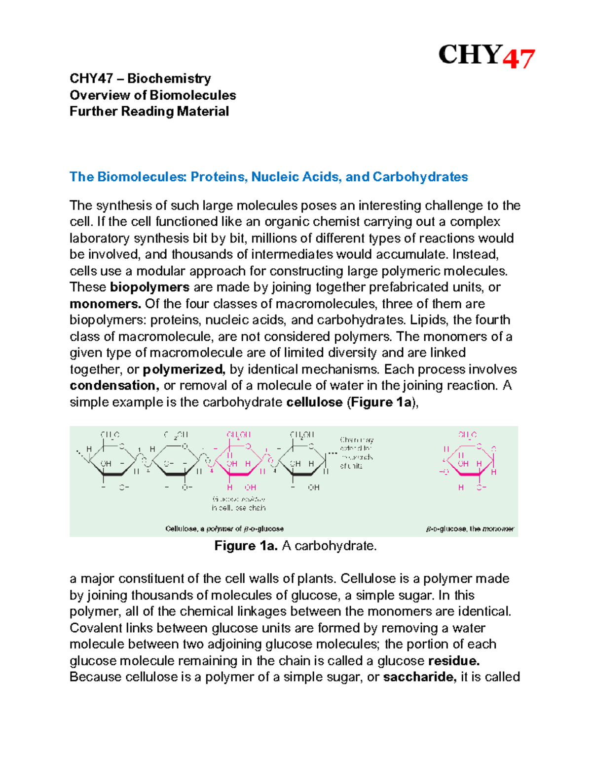 Handouts 3- Overview of Biomolecules - CHY47 – Biochemistry Overview of ...