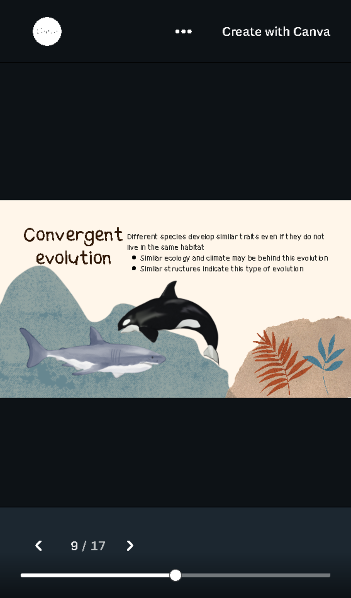 Convergent Evolution: Analysing Similar Traits Across Species ...